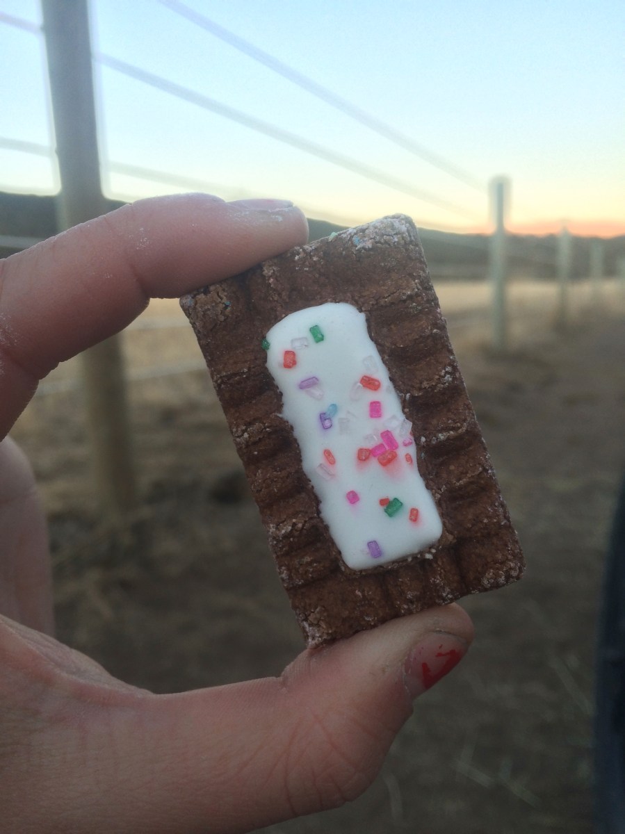 Snaks 5th Avenchew – radison