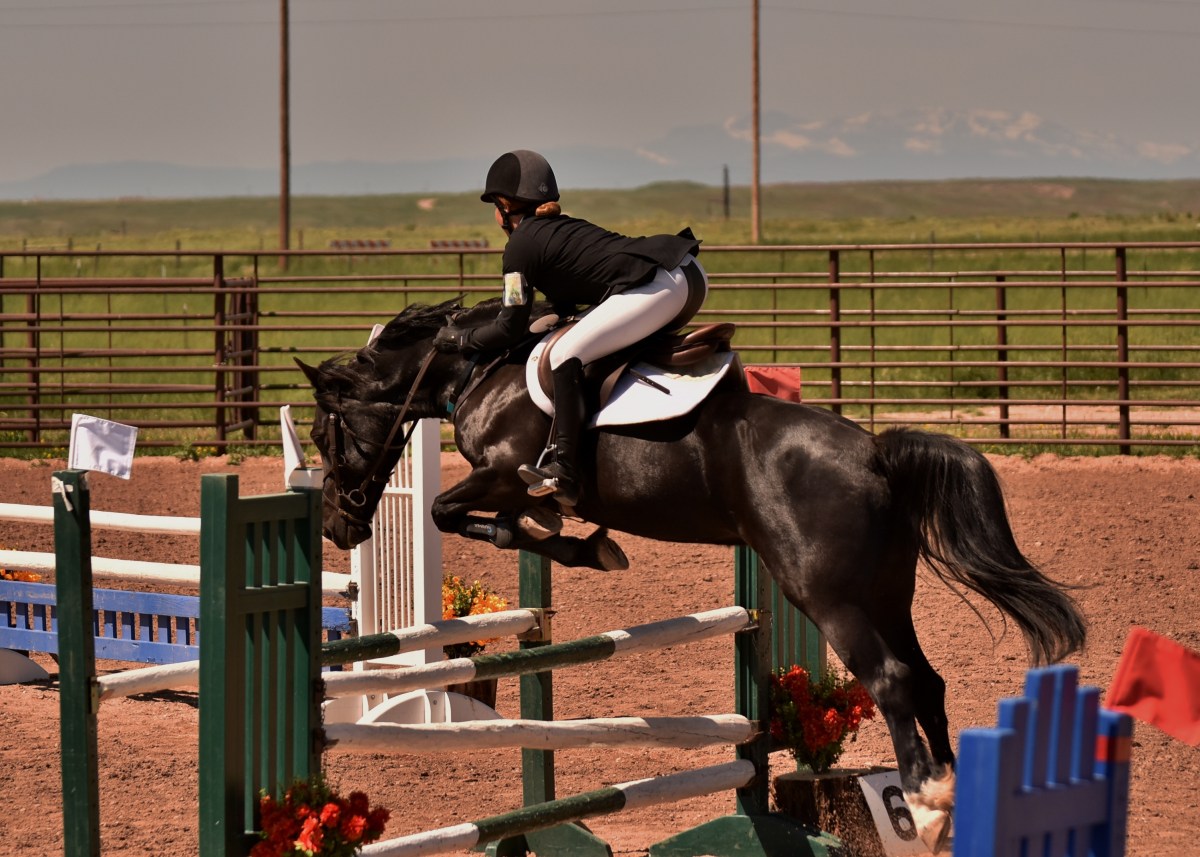 My Experiences with the United States Pony Club – radison